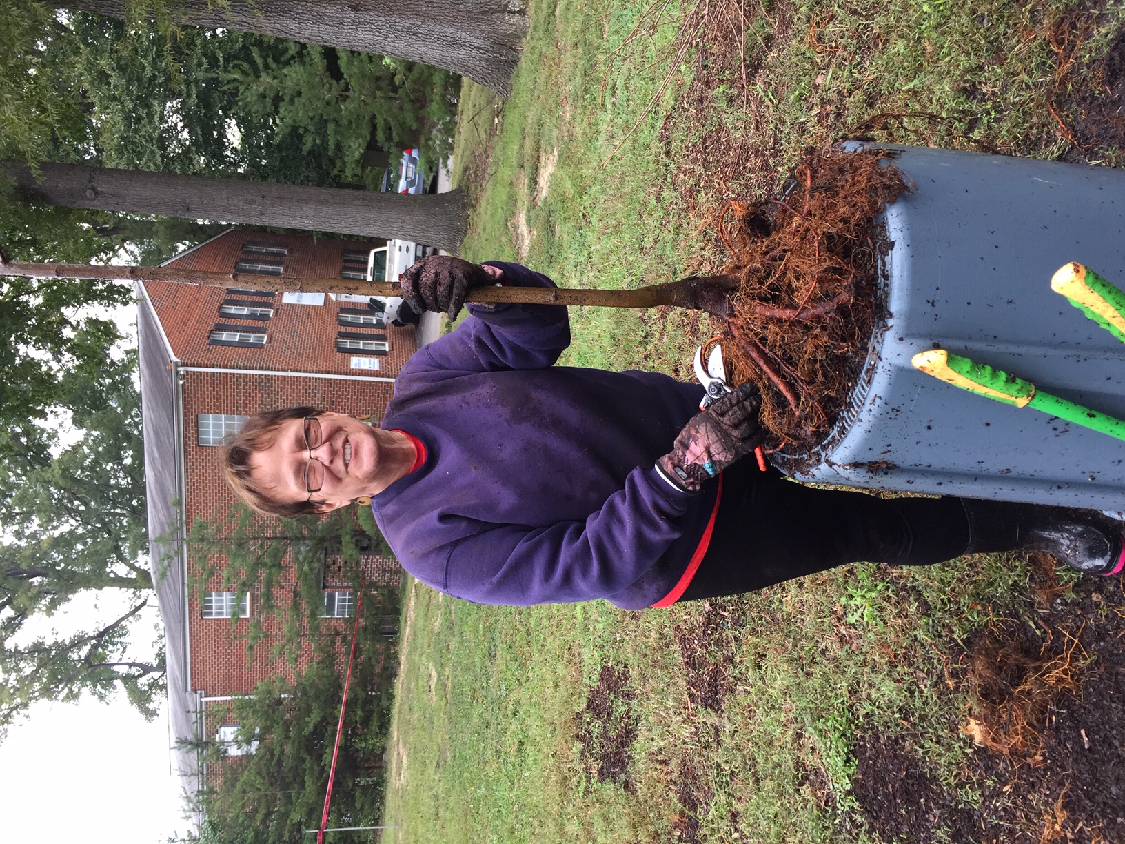 Tree Steward Sally prepping roots for planting | Tree Fredericksburg
